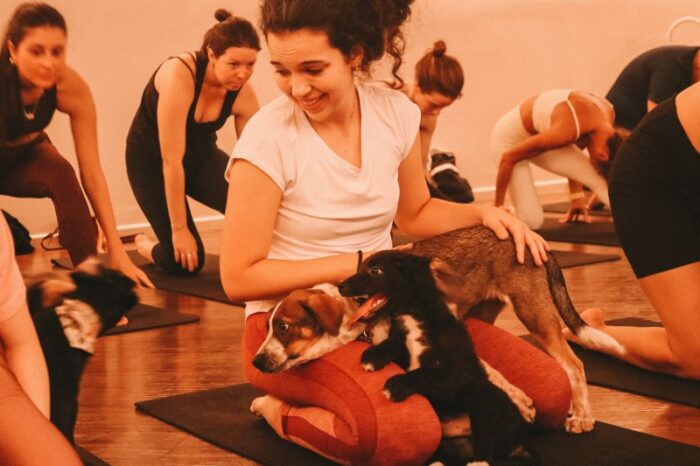 Pet Yoga: conheça a prática que faz sucesso e incentiva a adoção de animais